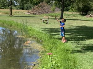 Village Photo Gallery – Village of Brandon